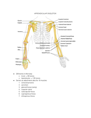 AP1 Lab Manual_Answers - Anatomy and Physiology Lab Manual Version 1.1 ...