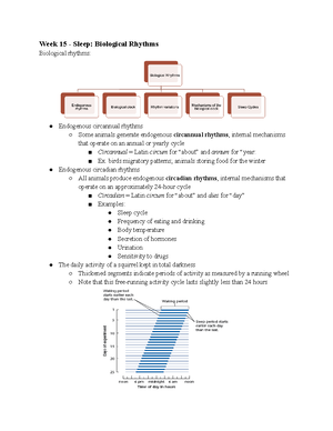 Lesson Eight Cortical Visual Processing - Organization of the Primary ...