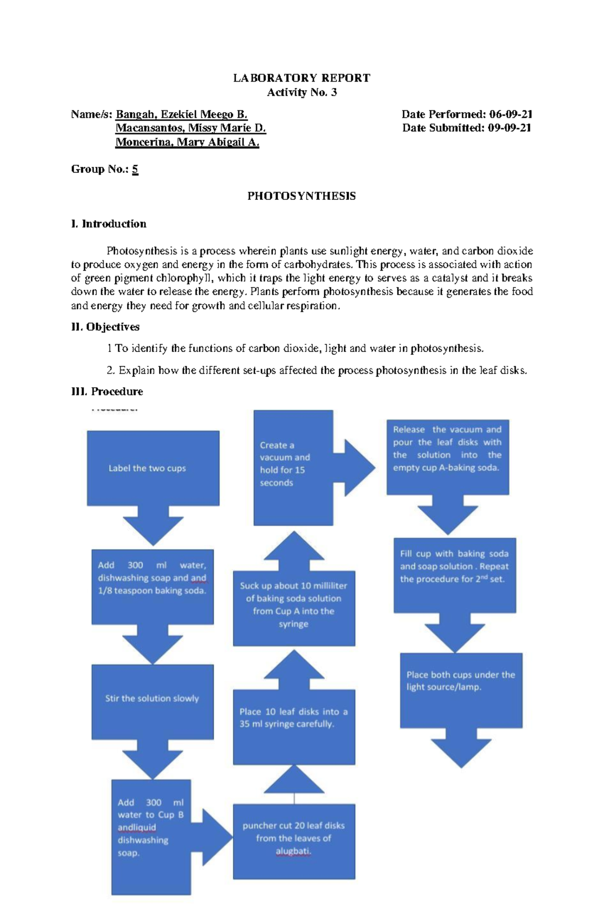 Group 5 - Activity 3 - Photosynthesis - LABORATORY REPORT Activity No ...