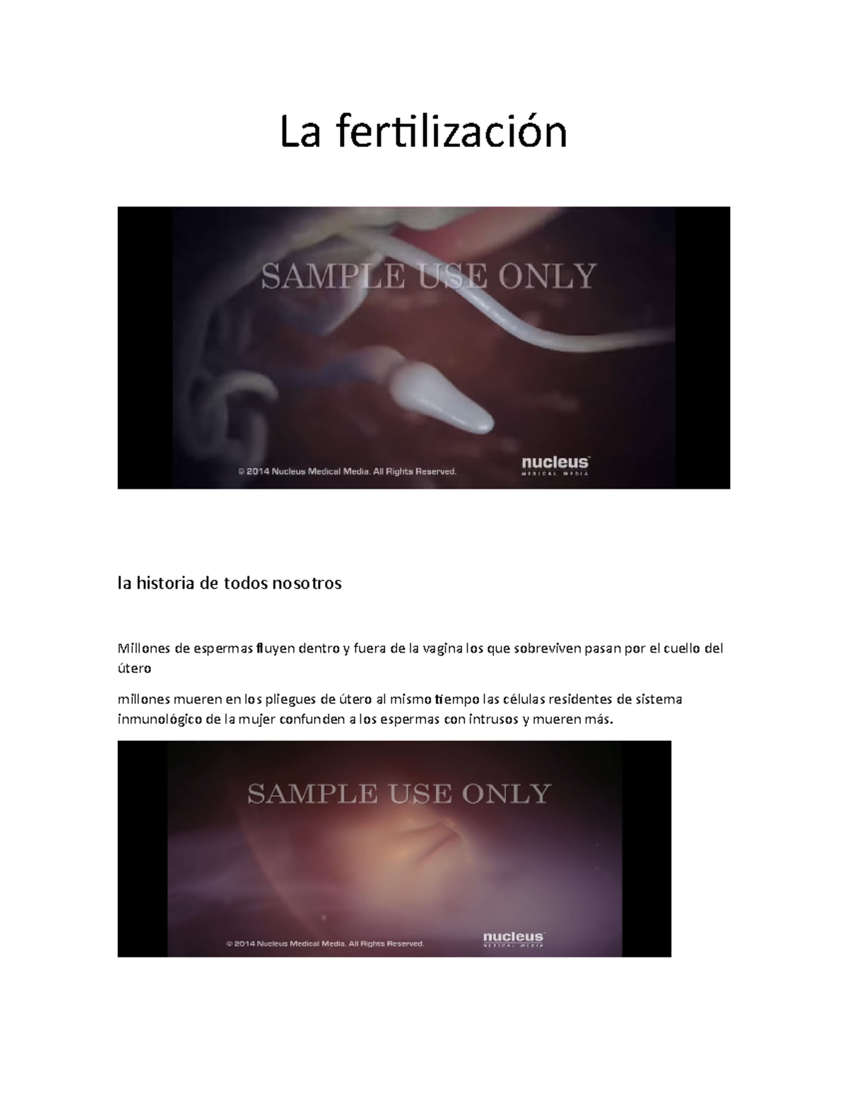 La fertilización - bases de la fertilizacion - La fertilización la ...