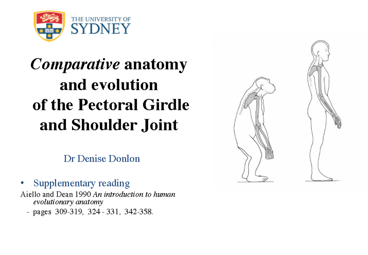 ANAT2009 Comparative pectoral 21 lec 6 - Comparative anatomy and ...