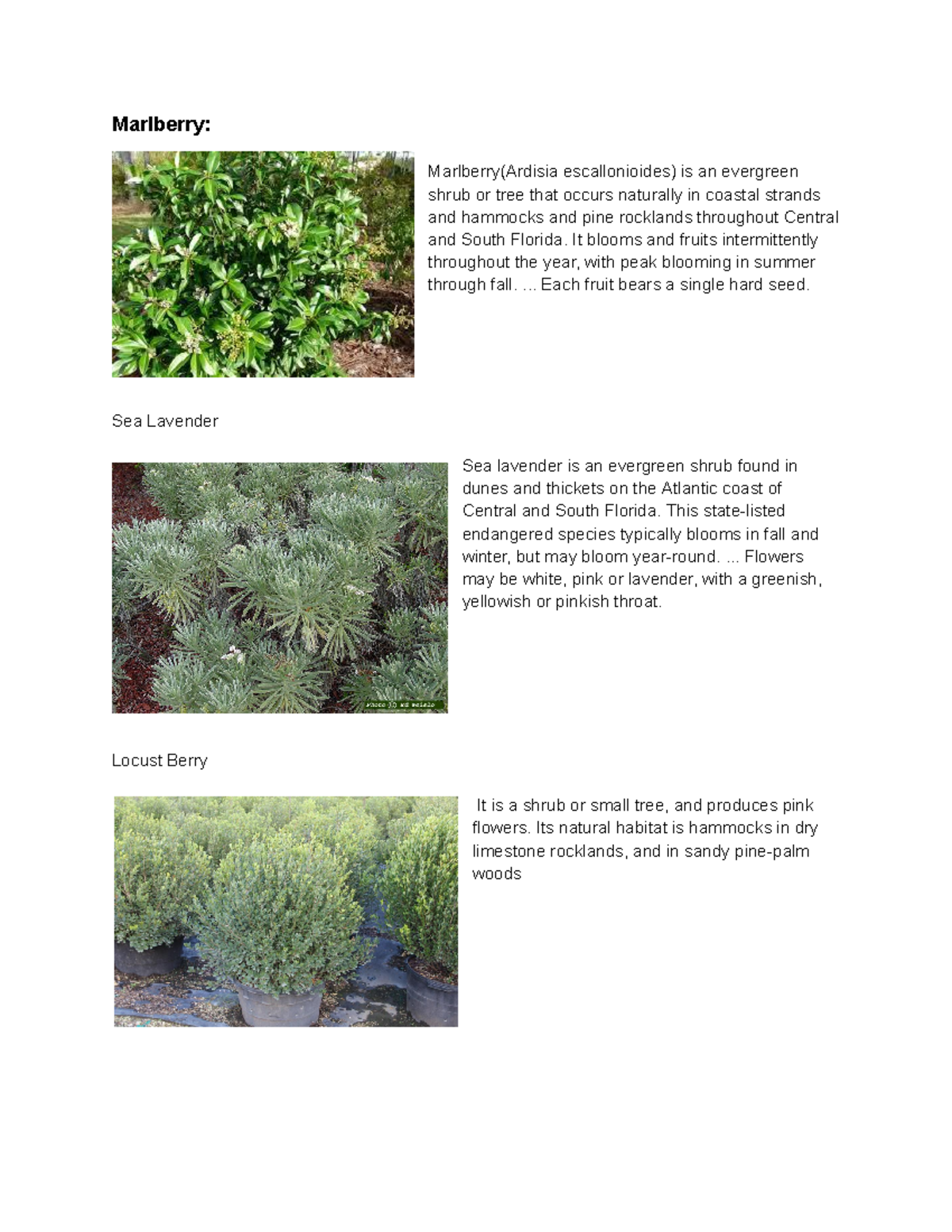 Plants - These are detailed notes of class lecture. - Marlberry ...
