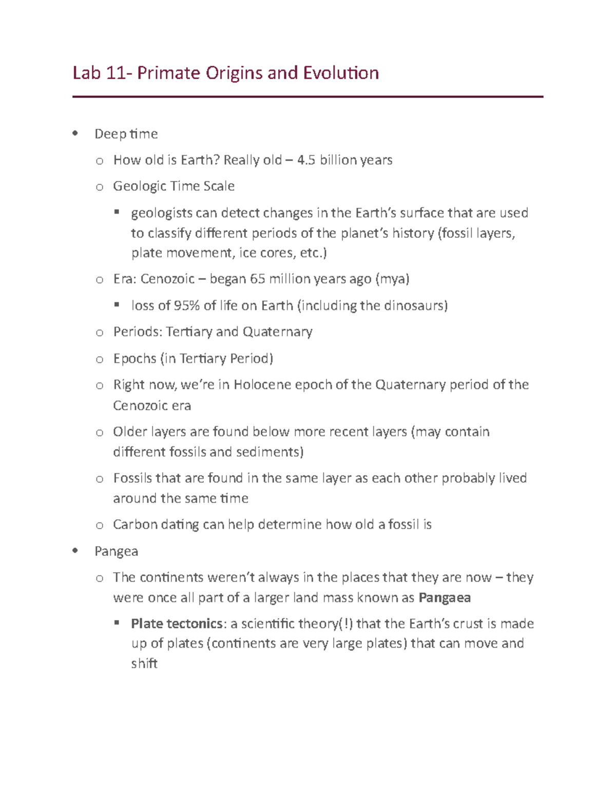 Lab 11-Primate origins and evolution - Lab 11- Primate Origins and ...