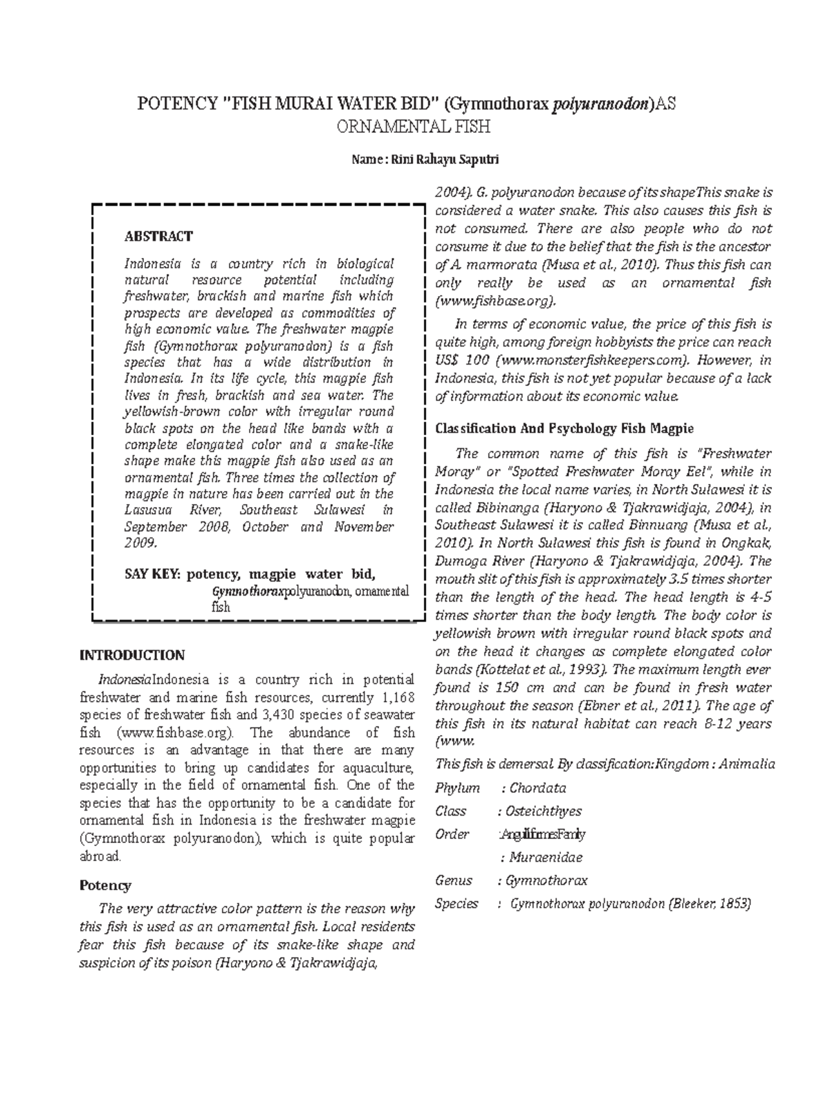 Potency FISH Murai Water BID (Gymnothorax polyuranodon) AS Ornamental ...