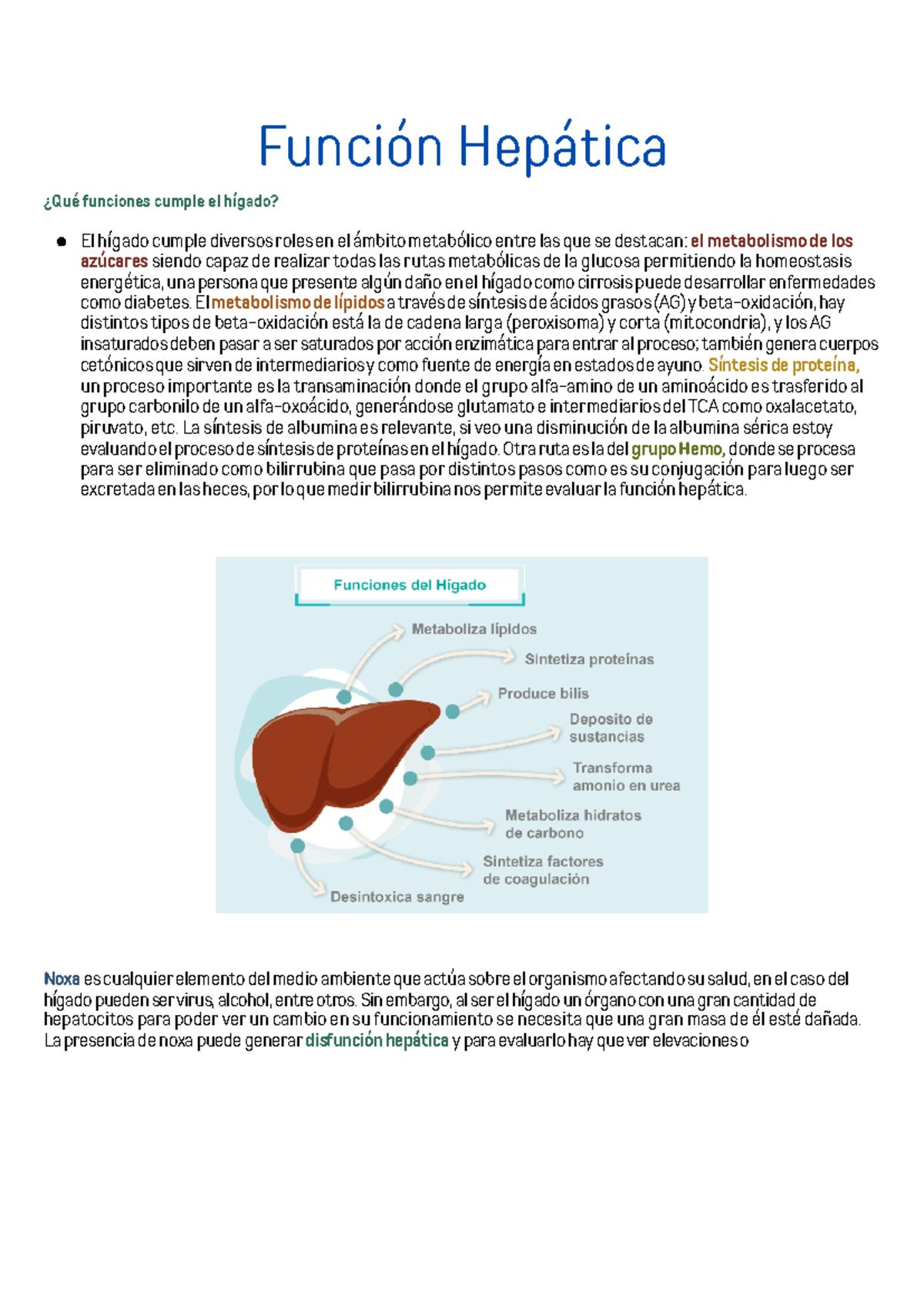 Yaki torof - Función Hepática Función Hepática ¿Qué funciones cumple el ...