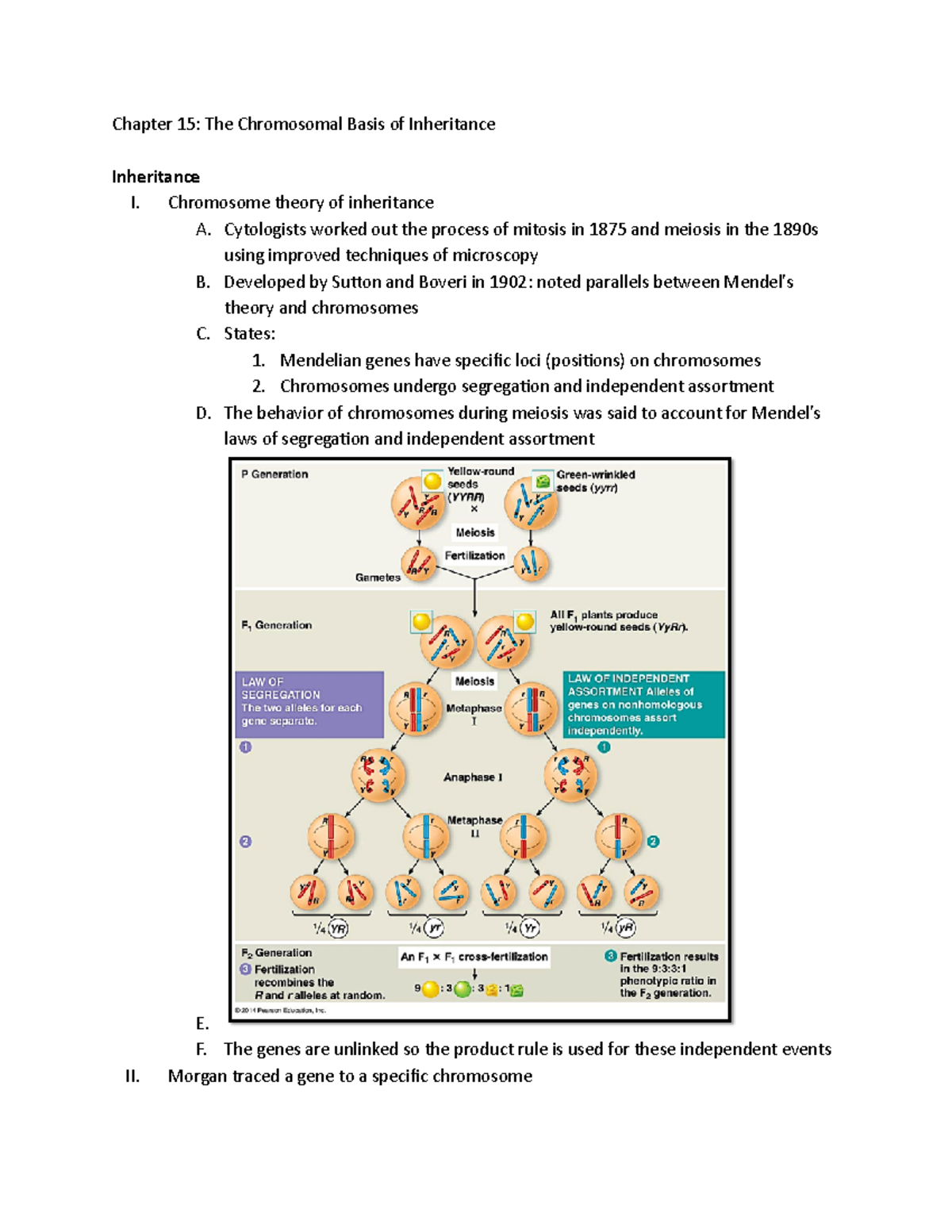 Chapter 15 Chromosomal Inheritance - Chapter 15: The Chromosomal Basis ...