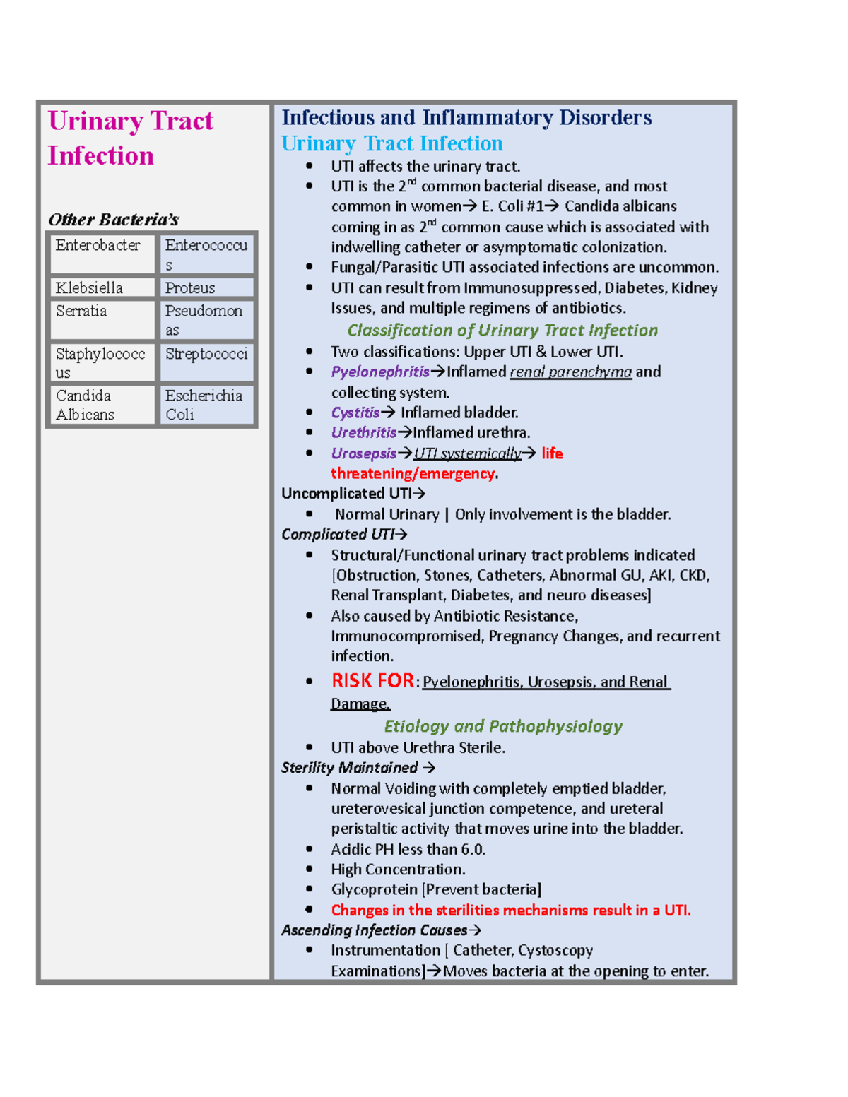 Exam 4 Notes - Urinary Tract Infection Other Bacteria’s Enterobacter ...