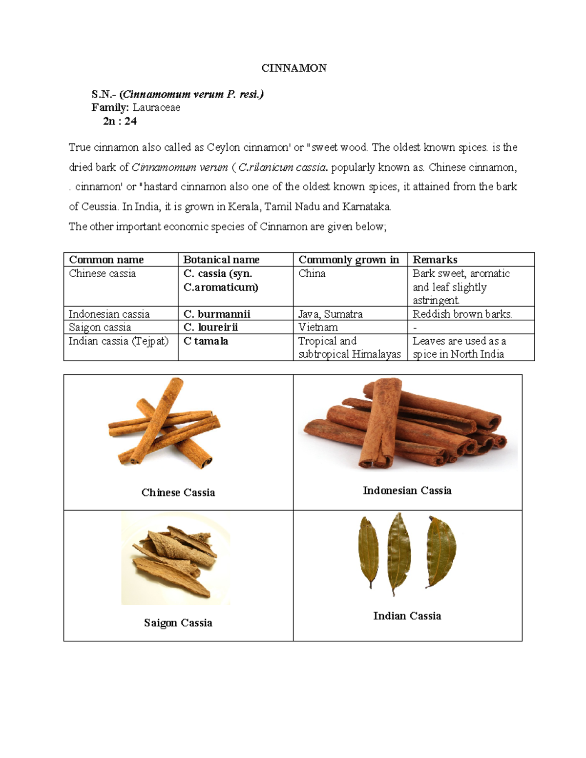 Production technology of Cinnamon - CINNAMON S.- (Cinnamomum verum P ...