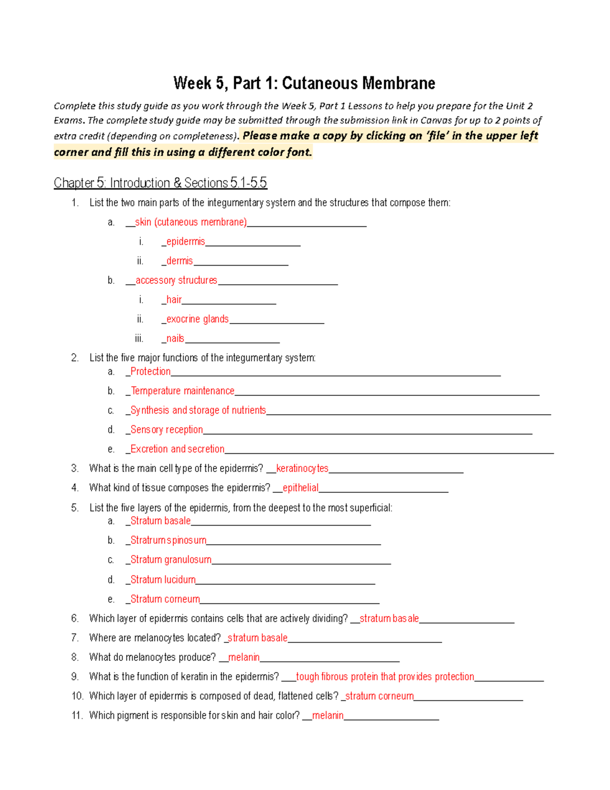 Copy of Copy of BIO 145 Week 5, Part 1 Cutaneous Membrane - Week 5, Part 1: Cutaneous Membrane ...