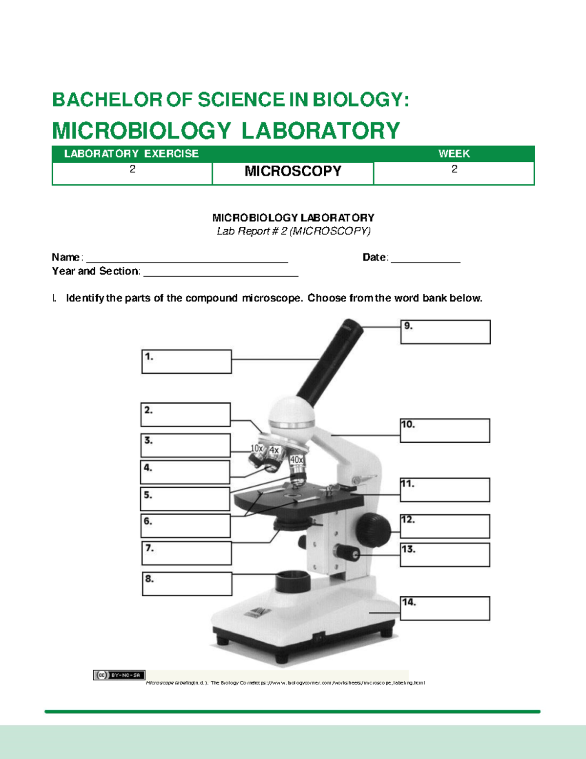 WEEK 2 Microscopy LAB Print - BACHELOR OF SCIENCE IN BIOLOGY ...