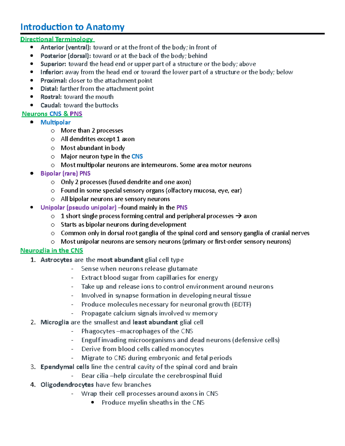 Anatomy B1 SG - Dr. Tina Dow - Introduction to Anatomy Directional ...