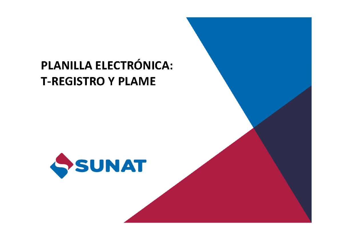 Planilla Y Registro Plame - PLANILLA ELECTRÓNICA: T-REGISTRO Y PLAME ...