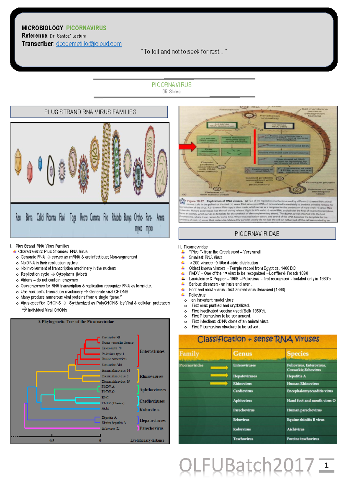 Microbiology Notes - Reference: Dr. Santos’ Lecture Transcriber ...