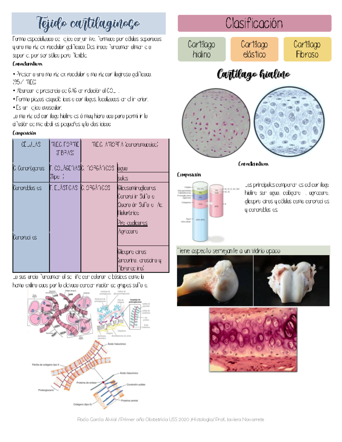 Histología Tejido cartilaginoso y Tejido óseo - Forma especializada de ...