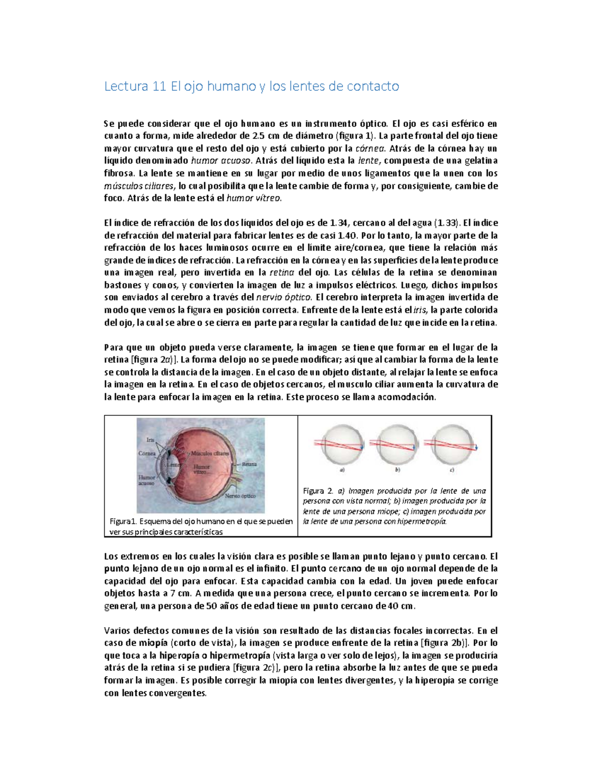 Lectura 11 El ojo humanos y los lentes de contacto - Lectura 11 El ojo ...