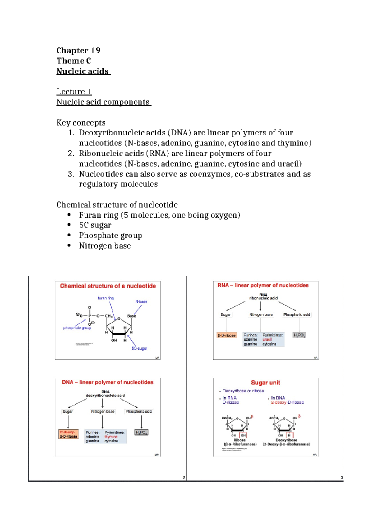 Tema C - Summary Biochemistry - Chapter 19 Theme C Nucleic acids ...