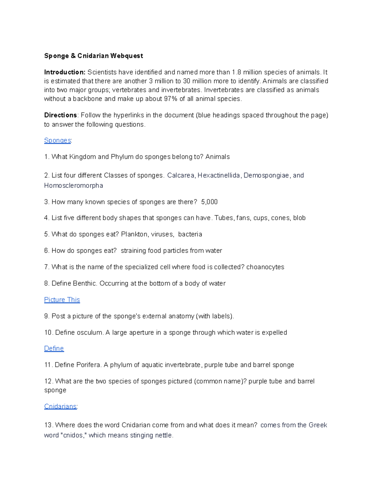 Zach Lewis Sponge & Cnidarian Webquest - Sponge & Cnidarian Webquest ...