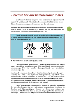 Génétique formelle des eucaryotes s4 - Université Mohamed V Département ...