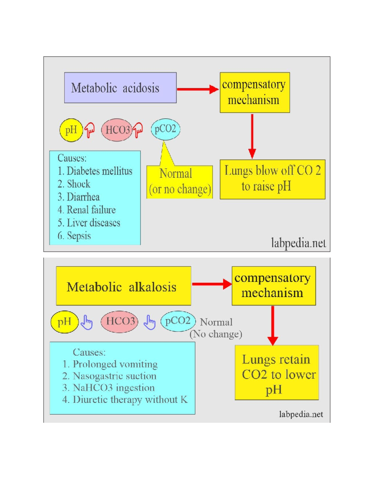 Acid Base Imbalance Picmonic - Metabolic acidosis compensatory ...