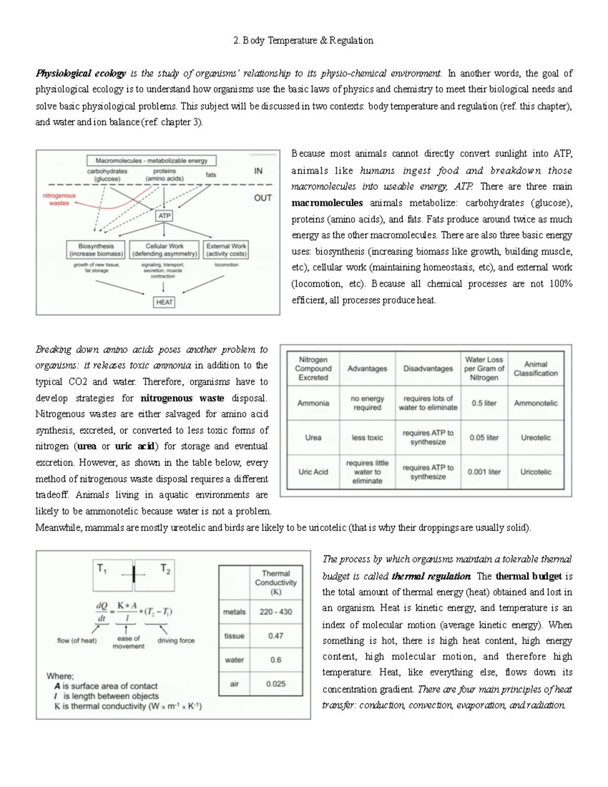 BIO 203 Body Temperature & Regulation Summary - Body Temperature ...