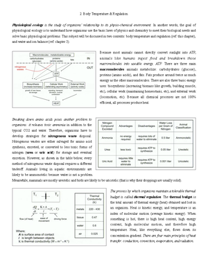 BIO 203 Respiratory System Summary - Respiratory System History of ...