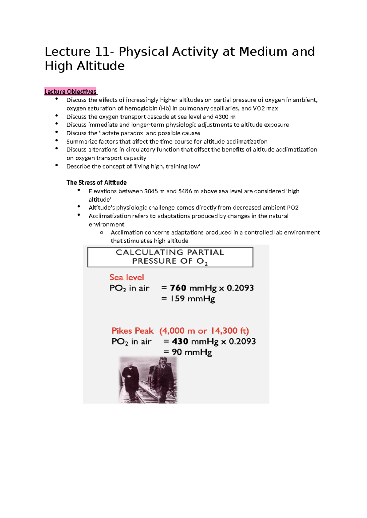 Lecture 11 EX PHYS - Lecture 11- Physical Activity at Medium and High ...