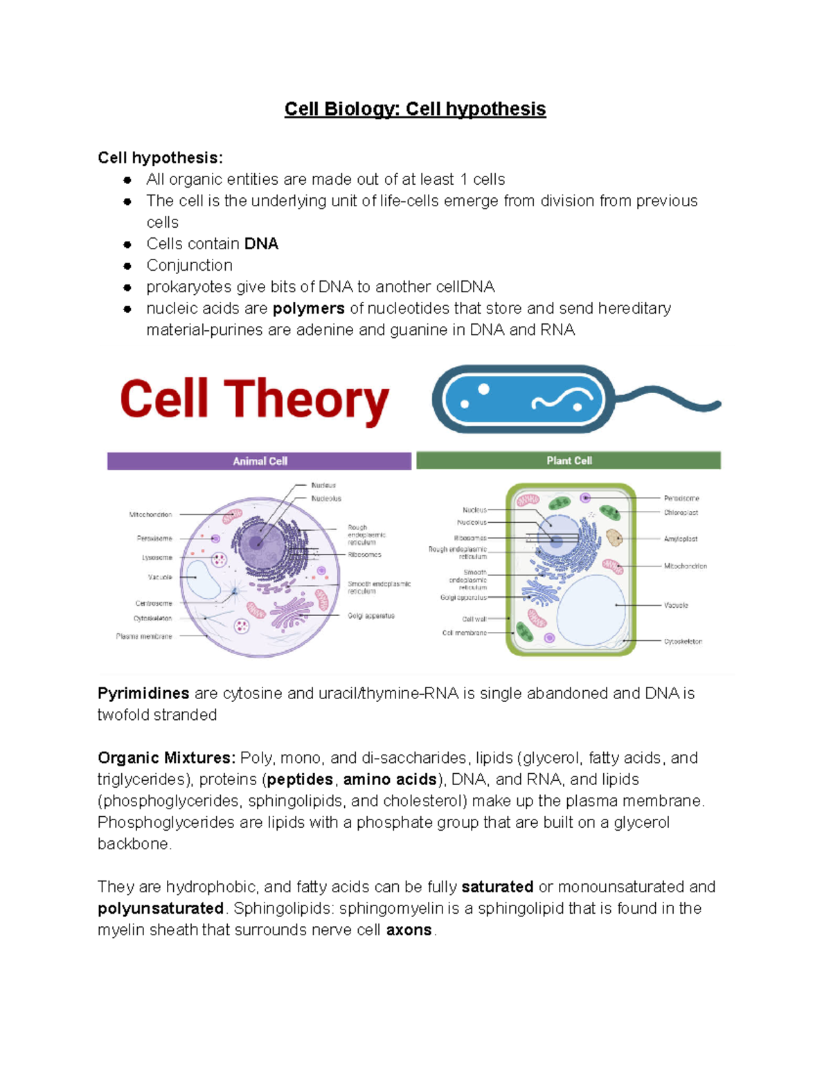 Cell Biology Cell hypothesis - Phosphoglycerides are lipids with a ...
