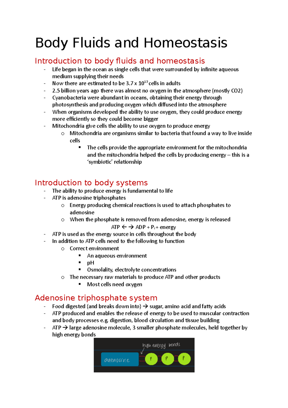 1170 notes - Body Fluids and Homeostasis Introduction to body fluids ...