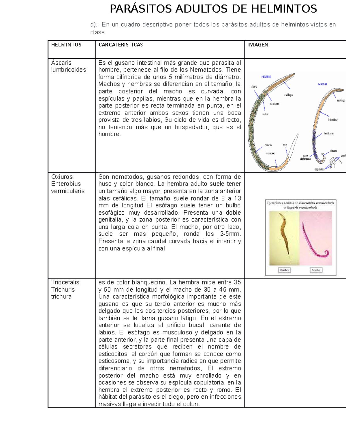 Compendio de parasitos helmintos adultos - HELMINTOS CARCATERISTICAS ...