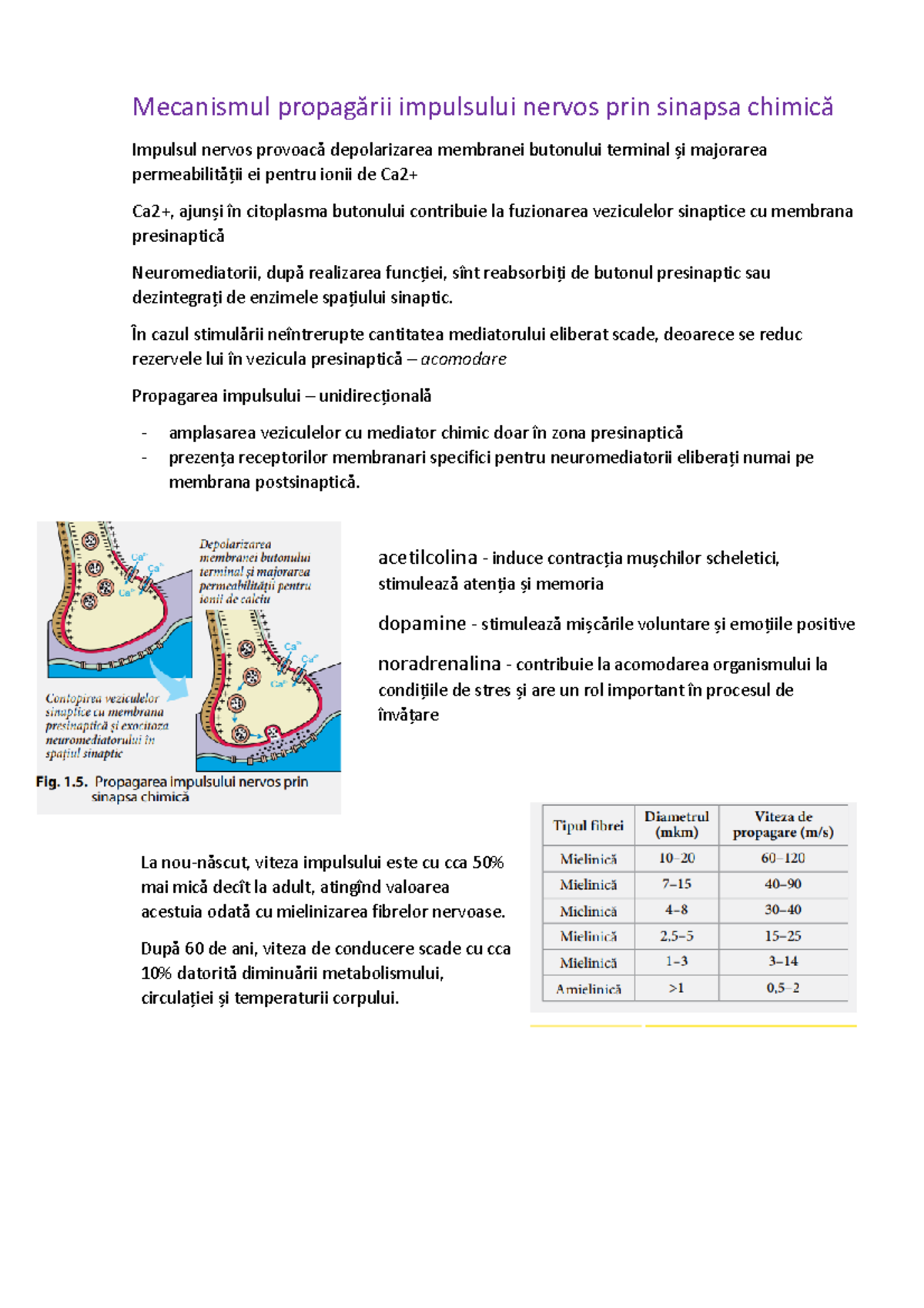 Mecanismul propagării impulsului nervos prin sinapsa chimică ...