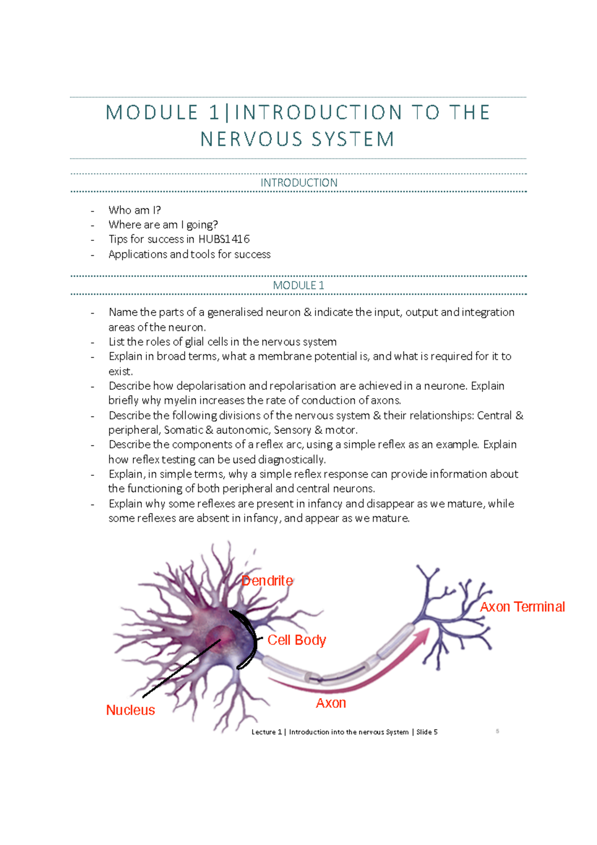 Nervous System Answers - MODULE 1|INTRODUCTION TO THE NERVOUS SYSTEM ...