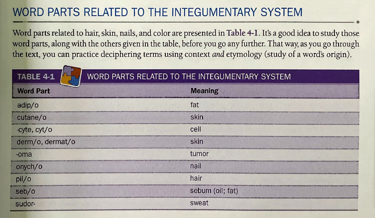 13 - Integumentary System (a) - WOR D PARTS RELATED TO THE ...