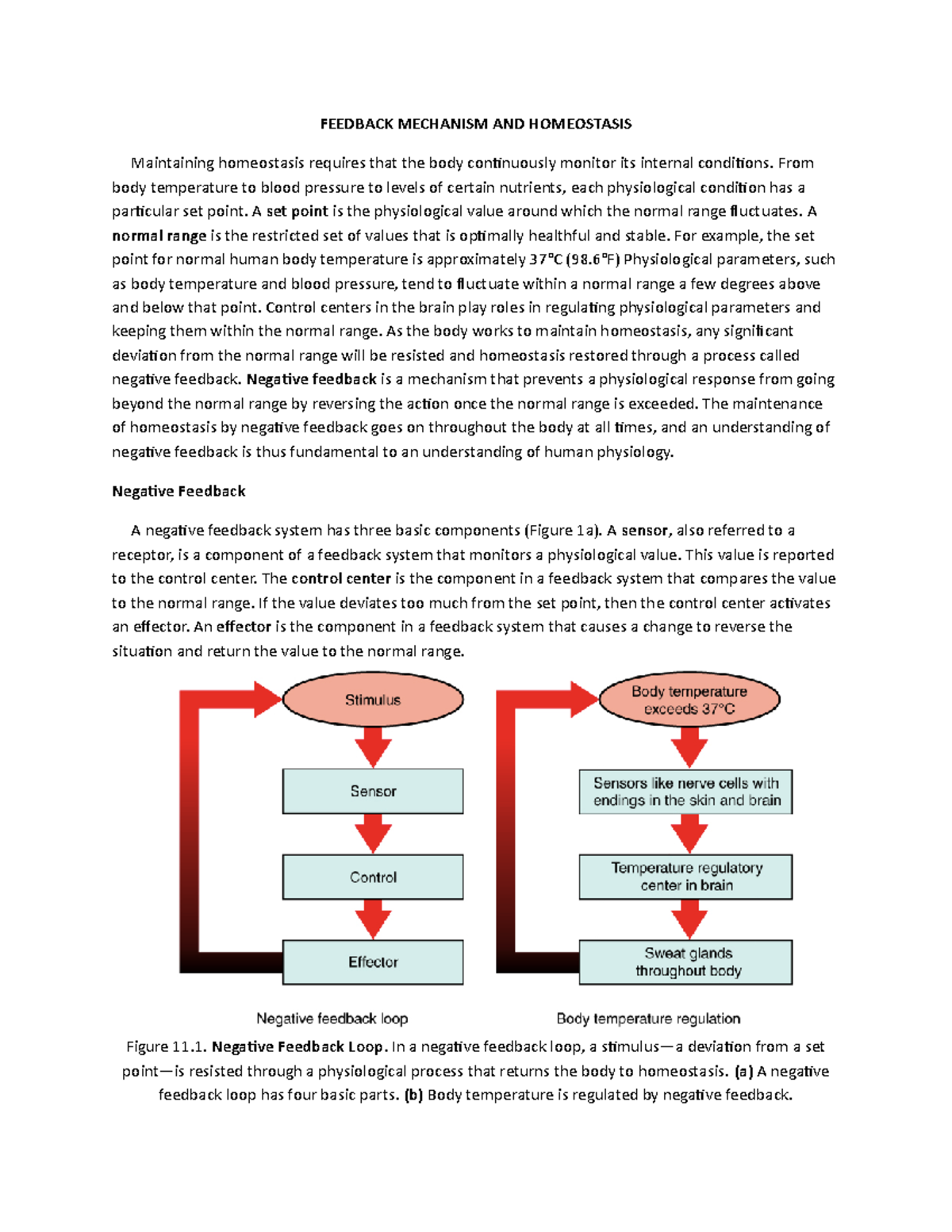 Feedback Mechanism AND Homeostasis - FEEDBACK MECHANISM AND HOMEOSTASIS ...