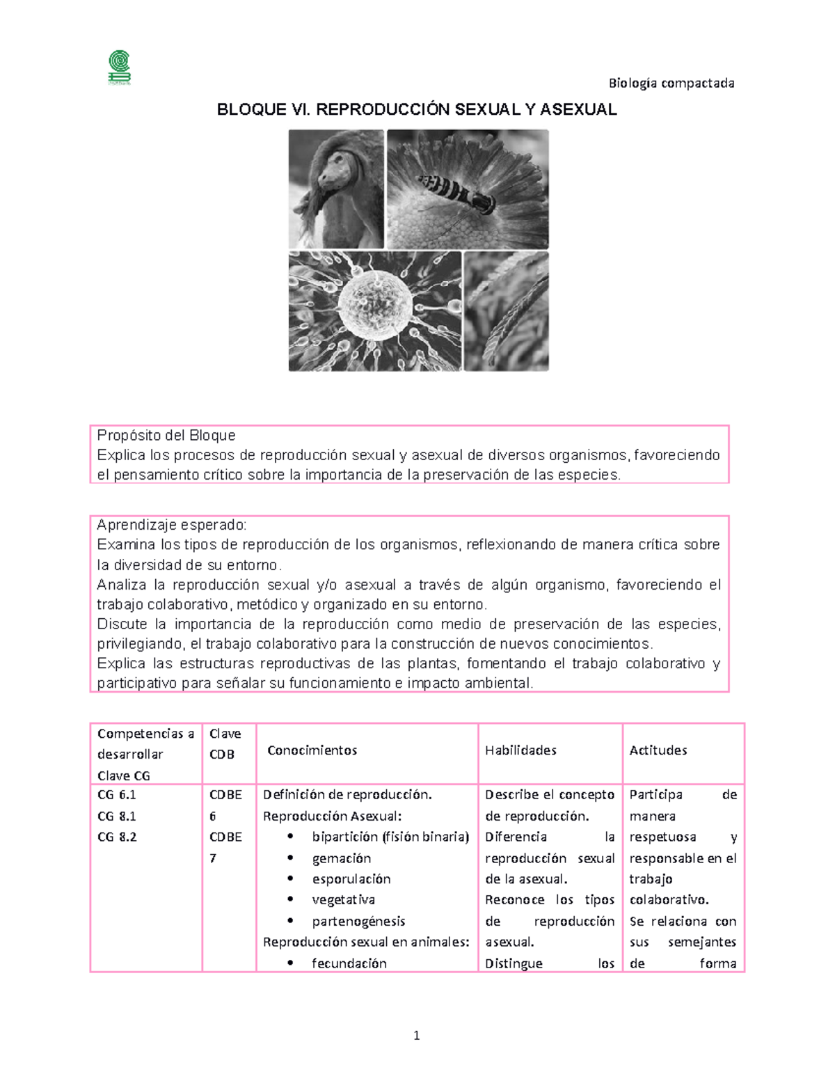 Bloque VI Reproducción sexual y asexual - BLOQUE VI. REPRODUCCIÓN SEXUAL Y ASEXUAL Propósito del ...