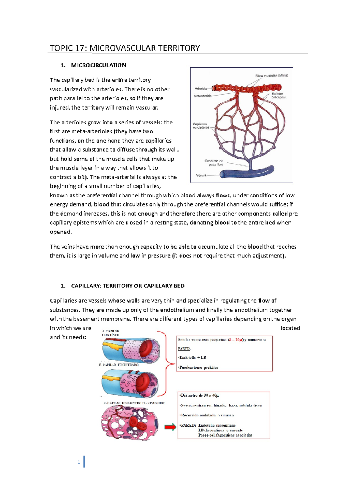 Unit 17 - Lecture notes 17 - TOPIC 17: MICROVASCULAR TERRITORY 1 ...