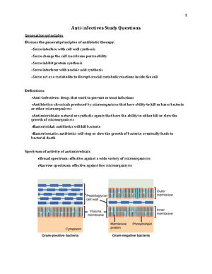 Antiinfectives Study Questions - Anti-infectives Study Questions ...