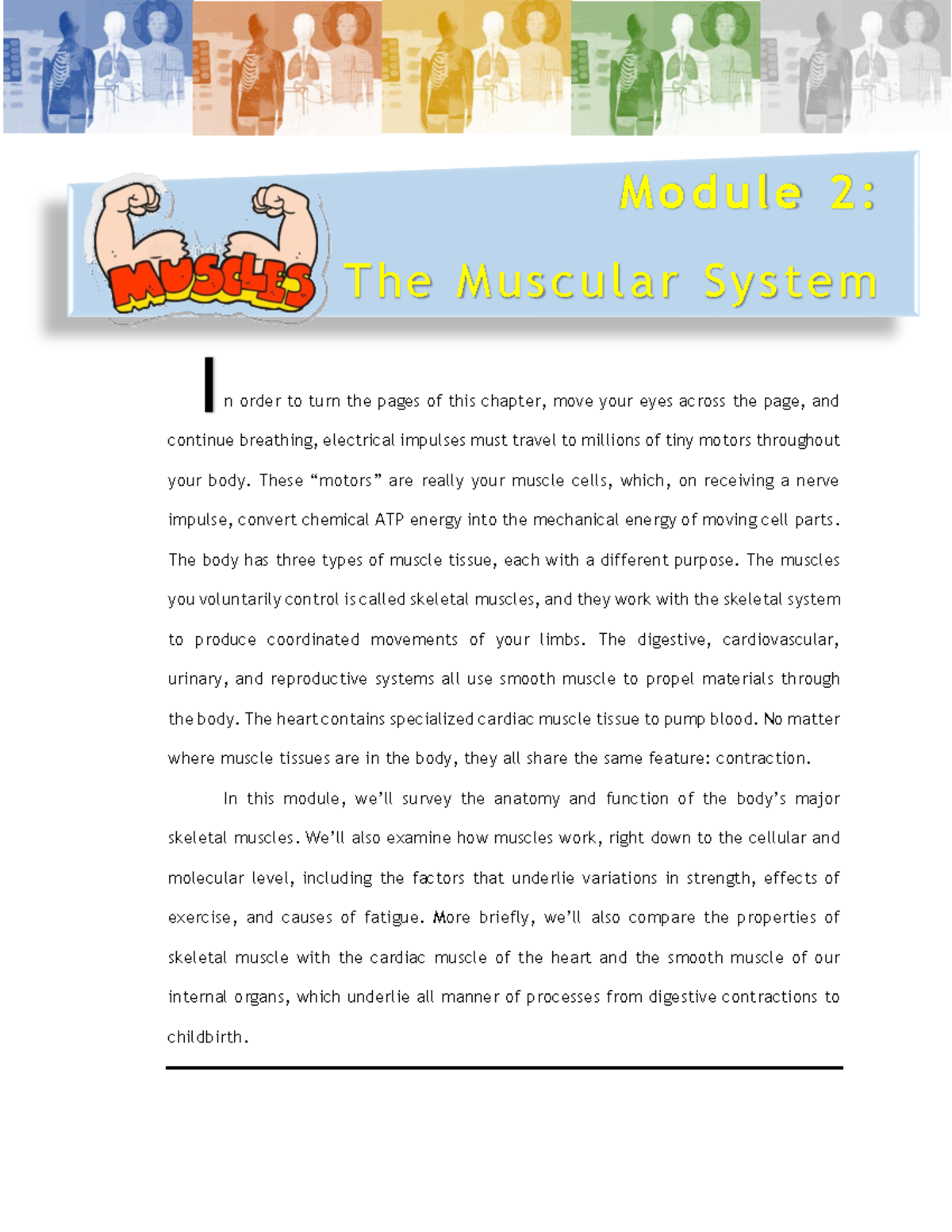 Muscular System Introduction - n order to turn the pages of this ...