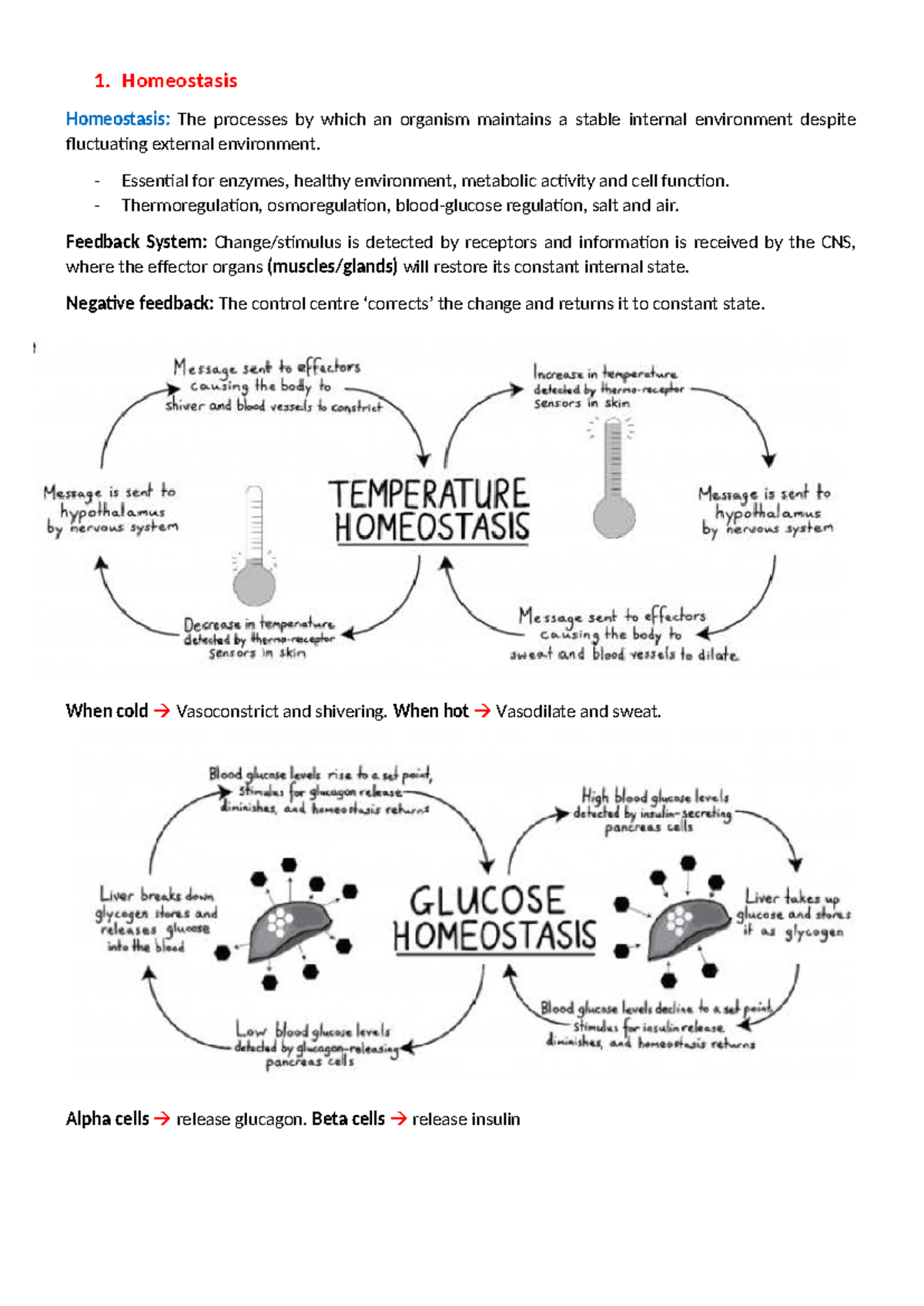 Non-Infectious Disease Notes - 1. Homeostasis Homeostasis: The ...