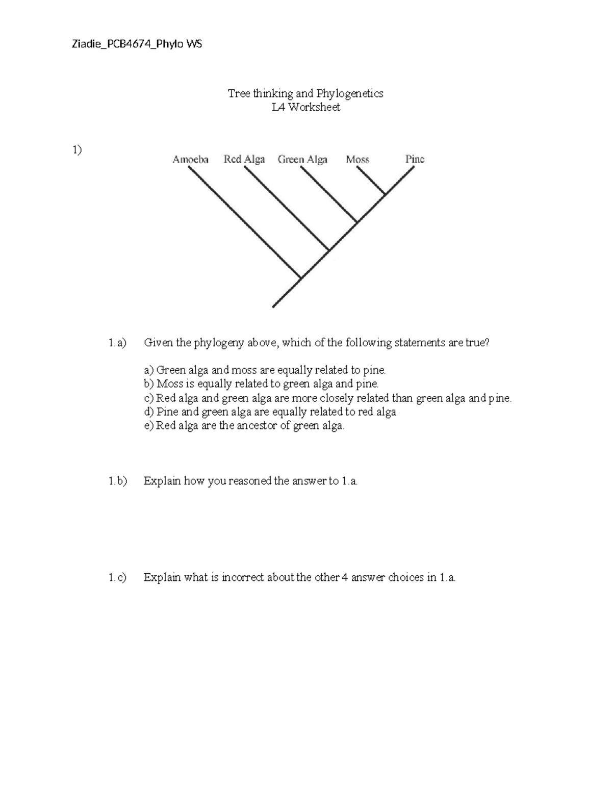 Phylo Worksheet 1 - Tree thinking and Phylogenetics L4 Worksheet 1) Given the phylogeny above ...