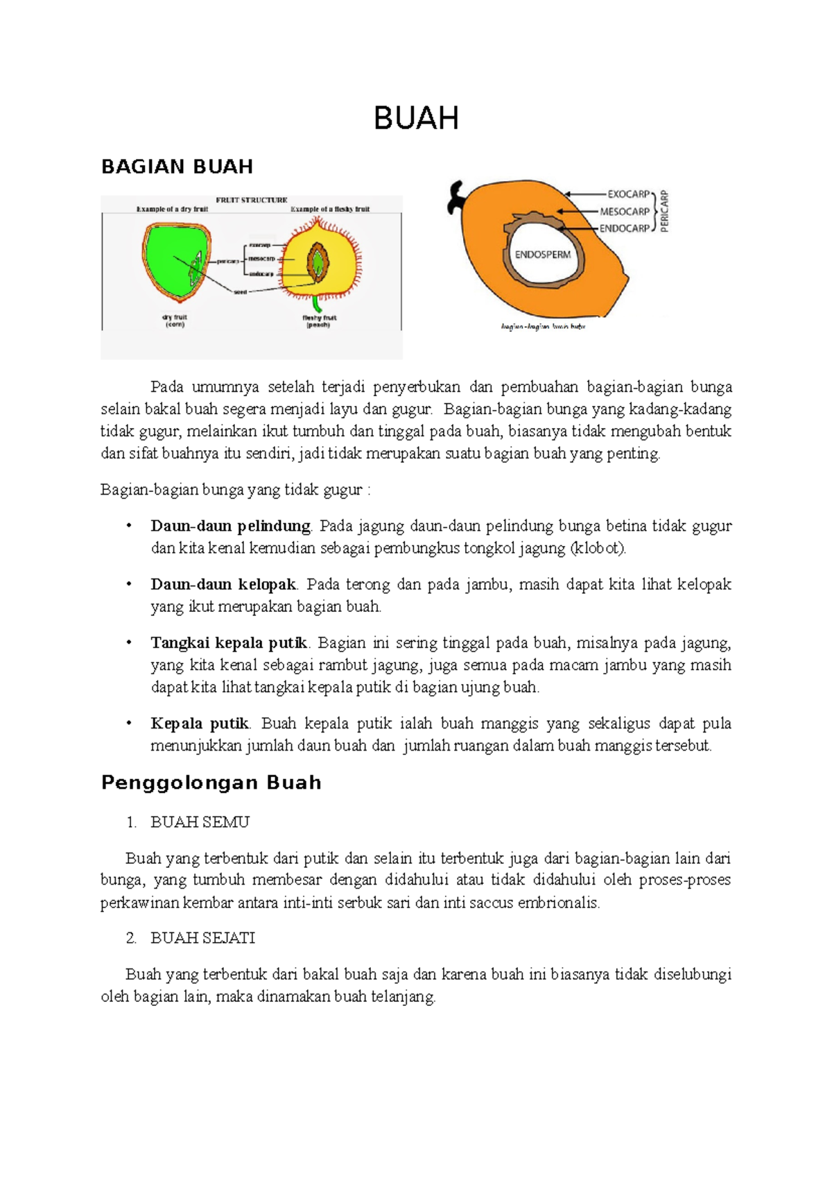 SPT - BUAH - MATERI STRUKTUR PERKEMBANGAN TUMBUHAN : BUAH - BUAH BAGIAN ...