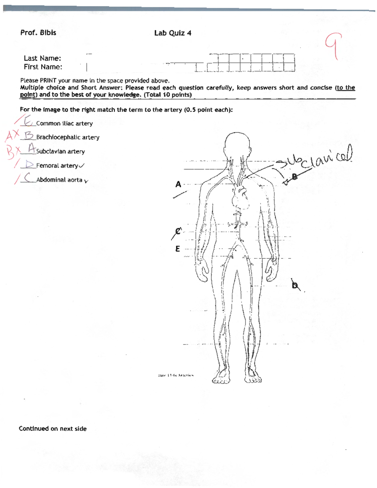 BIO 426 Quiz 4 - Class quiz - Prof. Bi bis Lab Quiz 4 Last Name: First Name: -i-i-;-i- !- T- i ...