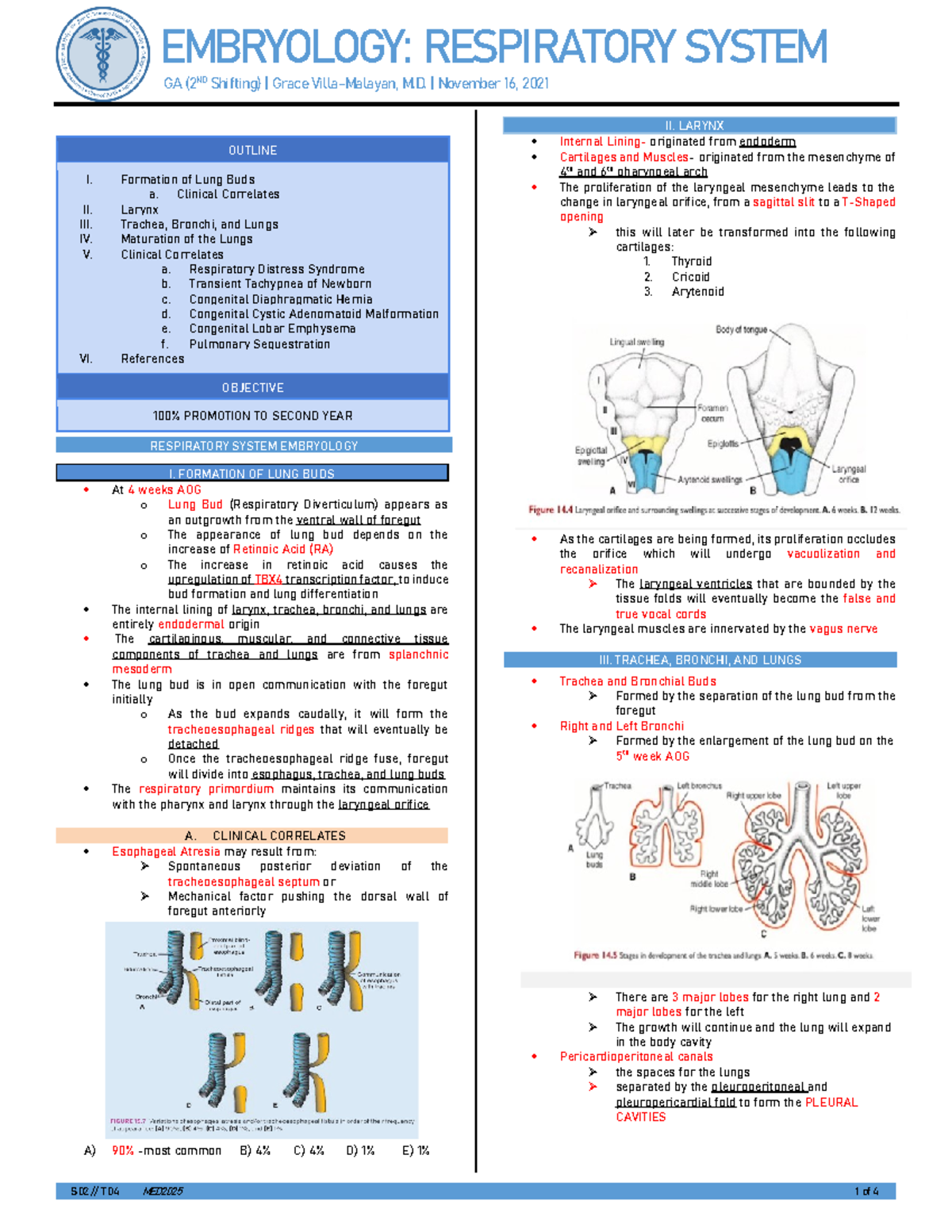 Embryology of Respiratory System - S 02 // T 04 MED2025 1 of 4 OUTLINE ...