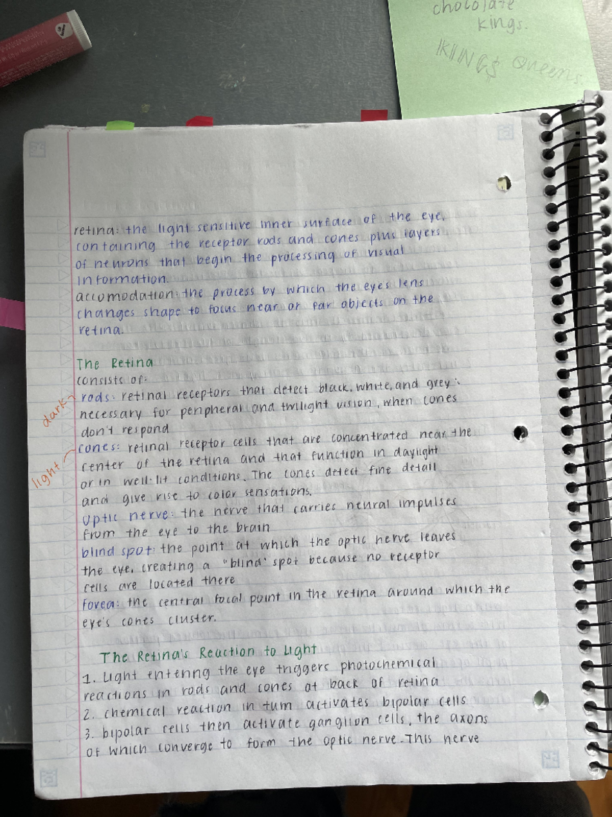 AP Psychology Sensation and Perception Notes - Studocu