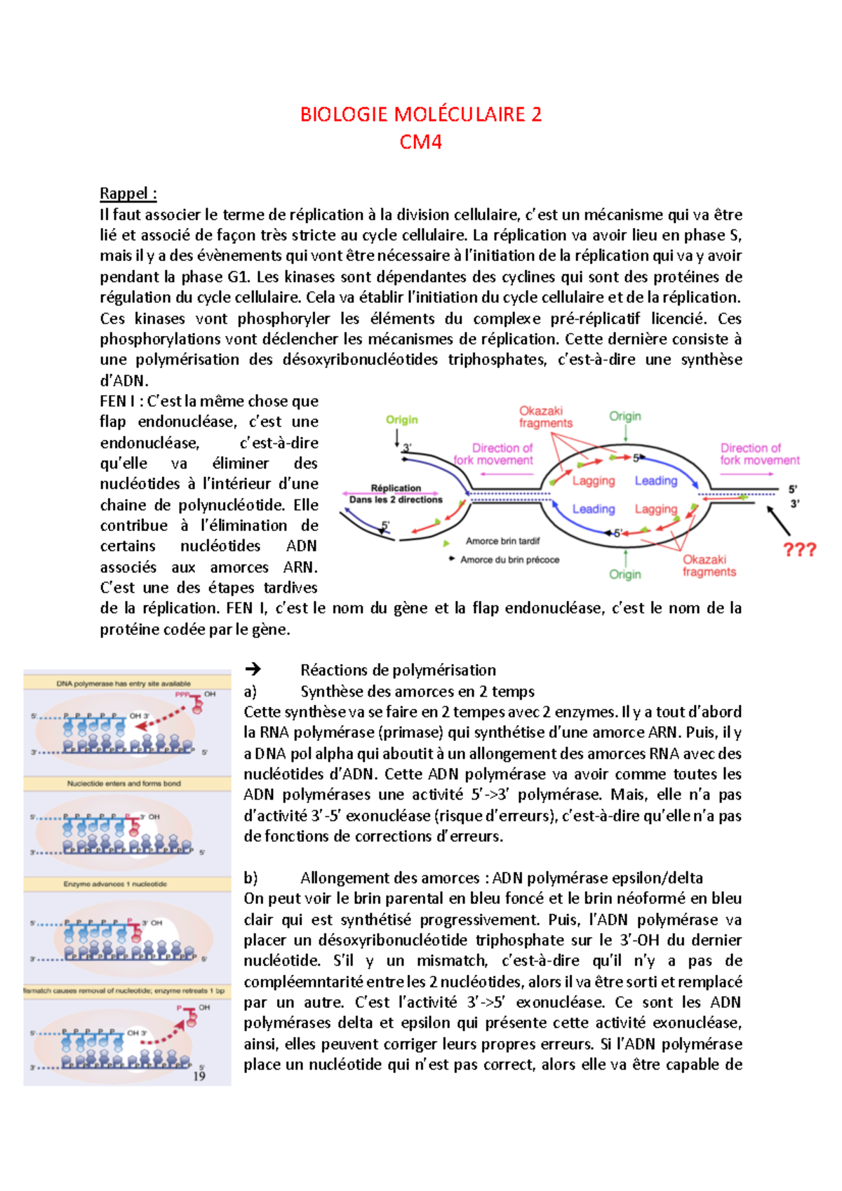 CM 4 Biologie Moléculaire - BIOLOGIE MOLÉCULAIRE 2 CM 4 Rappel : Il faut associer le terme de ...