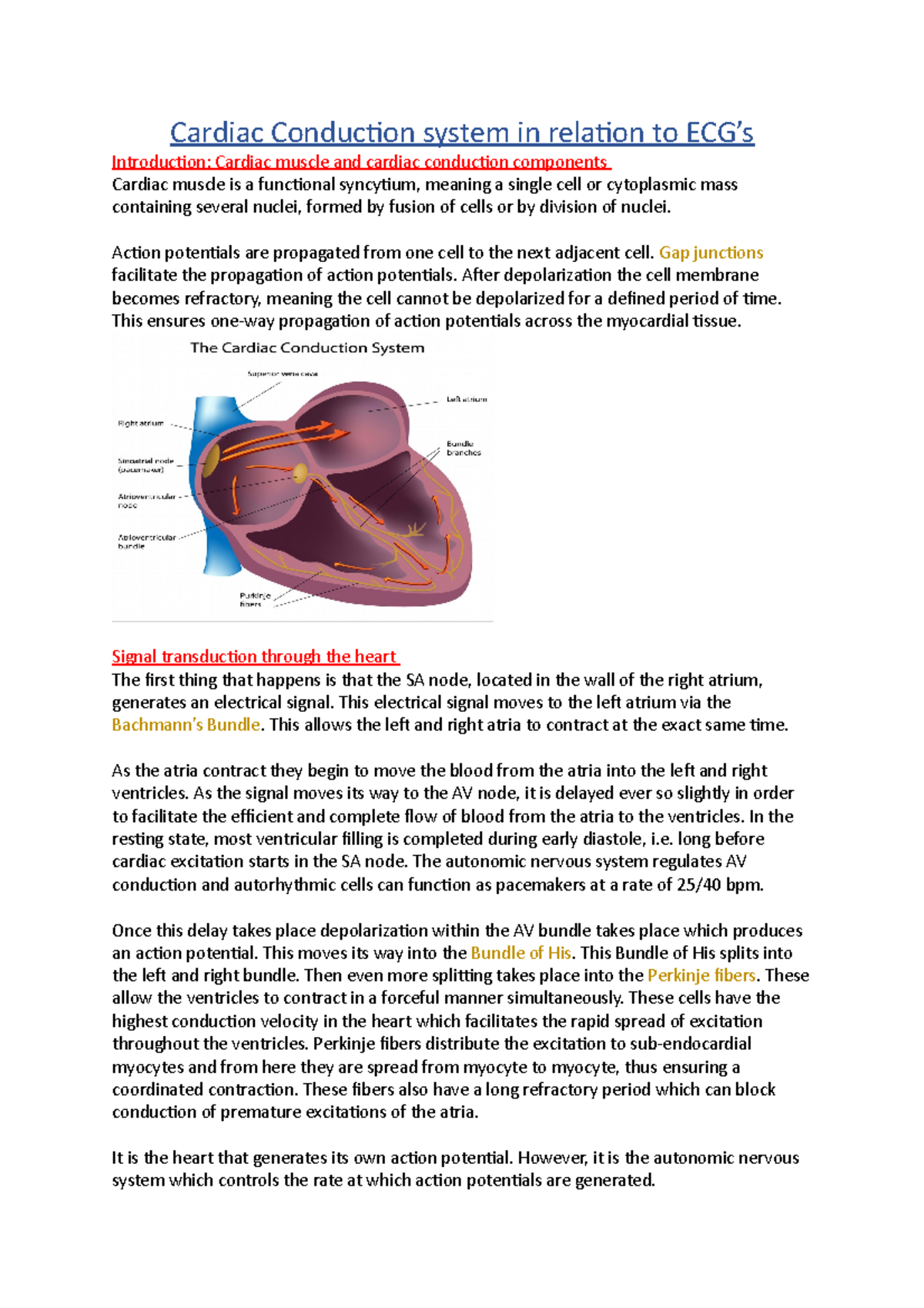 1 Cardiac Conduction system in relation to ECG’s - Cardiac Conduction ...