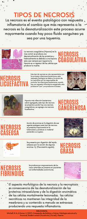 Documentos escaneados - MEDICINA INTERNA - Studocu