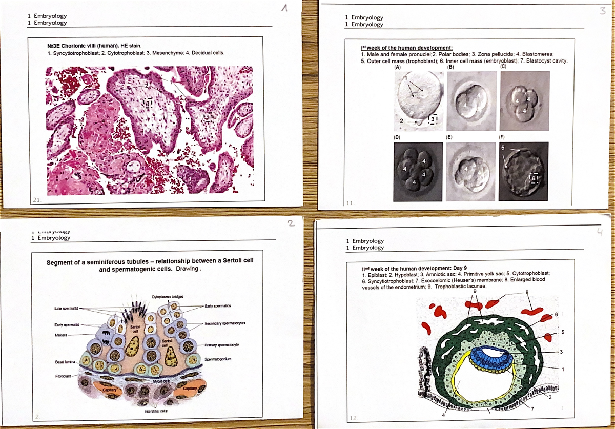 Embryology Practical Test - Cytology, General Histology and Human ...