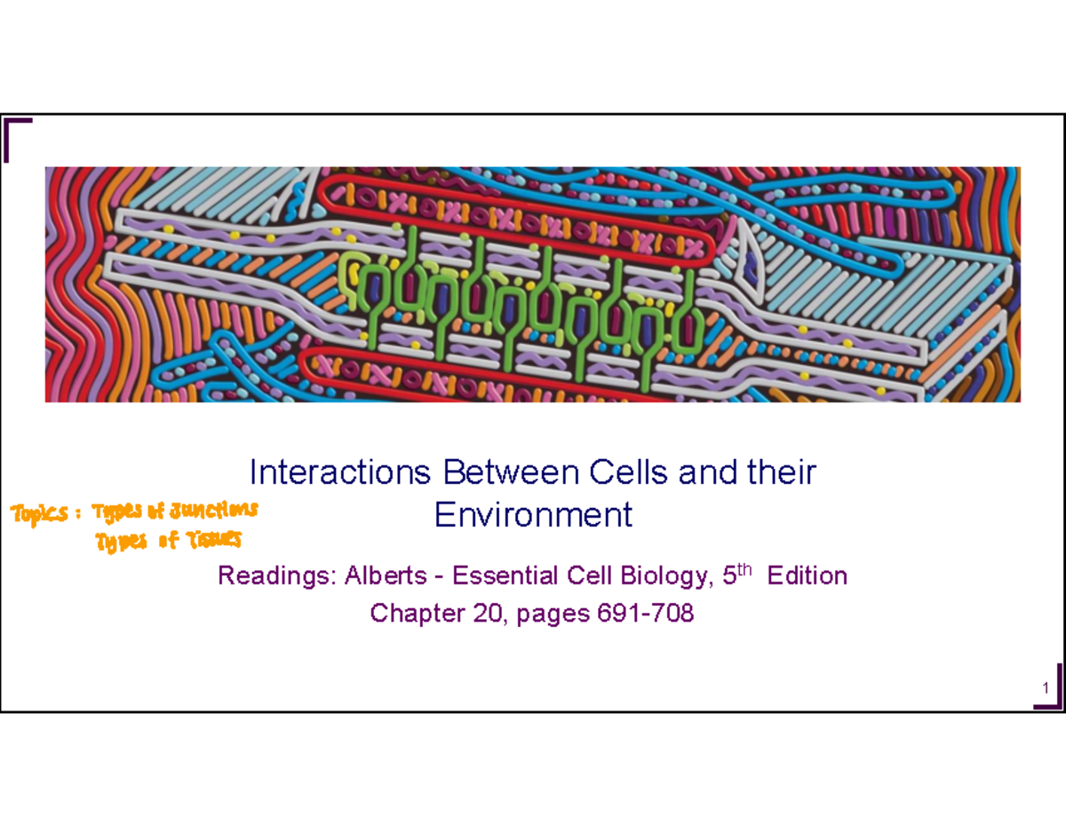BIO130 Section 2 Week 5 Interactions between cells and environment ...
