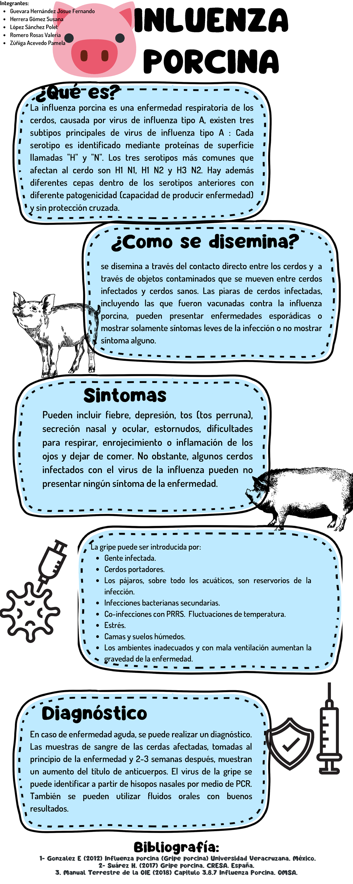 Infografía Influenza porcina - INLUENZA PORCINA ¿Qué es? La influenza ...