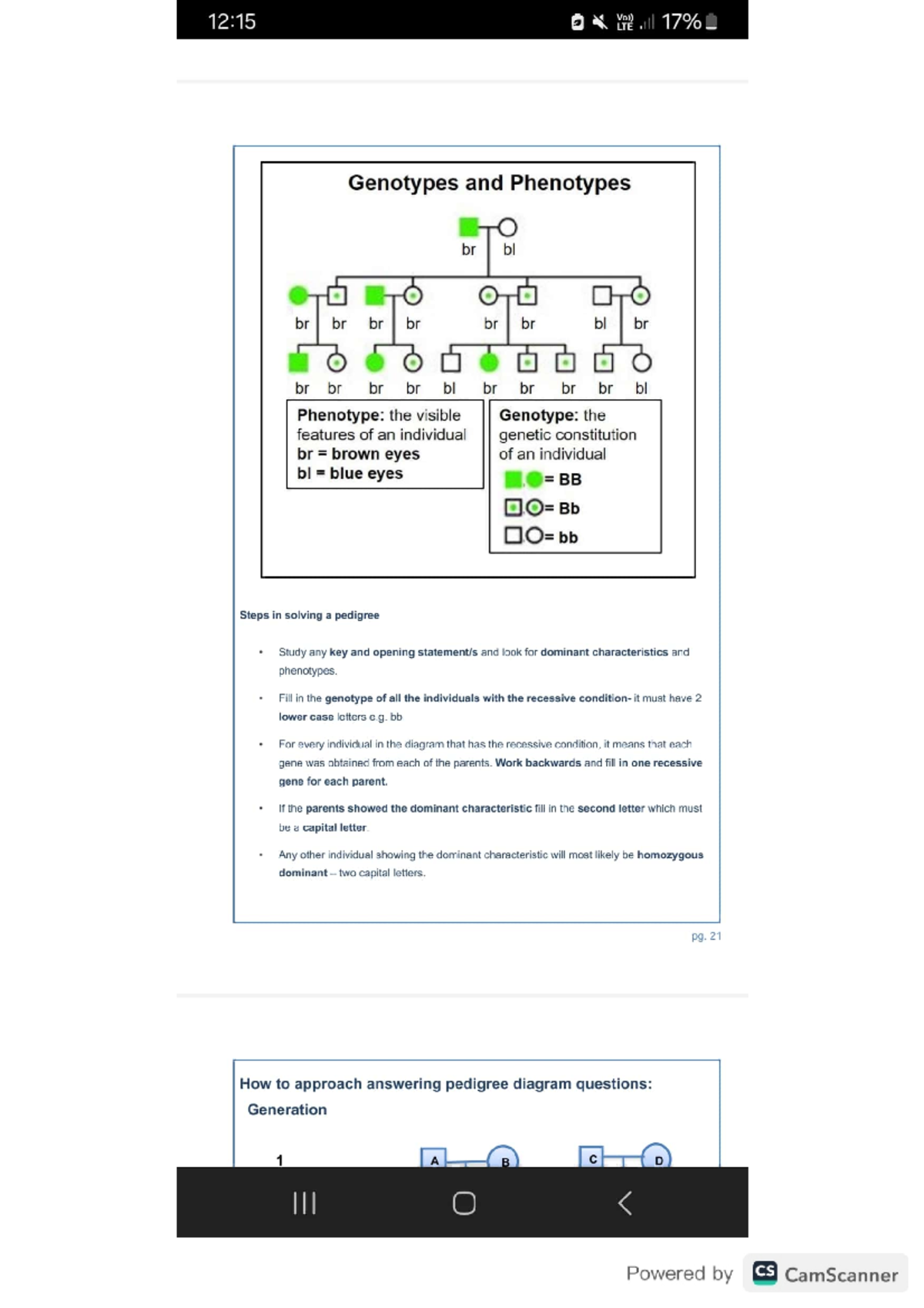 Pedigree Diagrams - DNA THE CODE OF LIFE Notes 2020 - Studocu